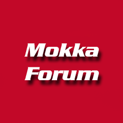Software des Touchscreens (6_0421_23.3I29.1) - Mokka-e - der ...